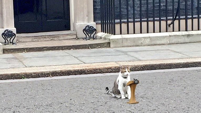 Who Is Larry the Cat? Inside the Life of 10 Downing Street’s Longest ...