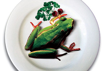 The Frog Stew Debate
