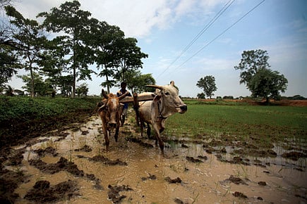 Jatland in Chhattisgarh