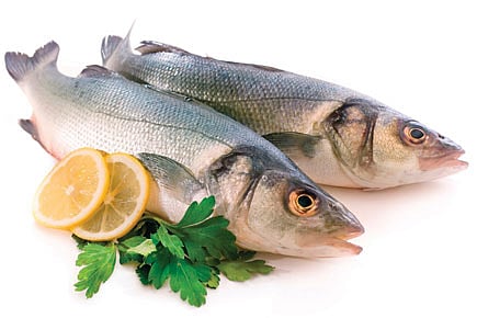 Is Fish Good for You?