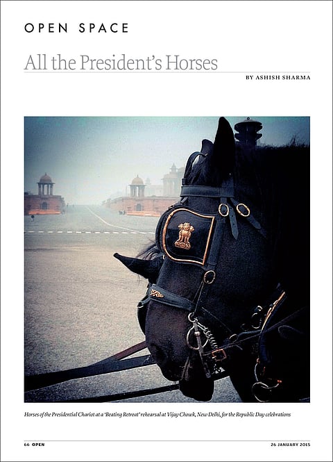 All the President’s Horses