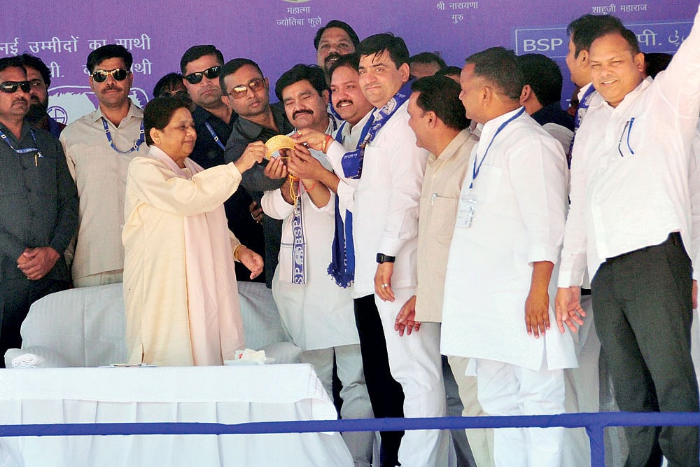 Lotus In an Elephant Trunk